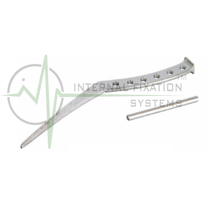 Rasp Austin Moore - Standard | Shagun Cares INC