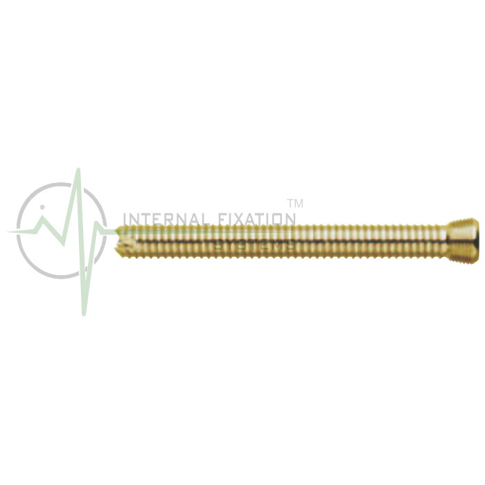 Locking-Screws-with-Stardrive,-Self-Tapping,-3.5mm | Shagun Cares INC